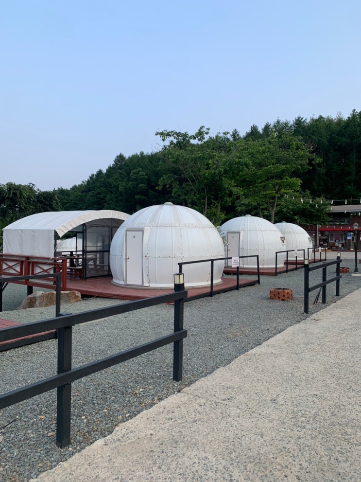 아이랑 대구근교아이랑갈만한곳 청도글램핑추천 봉식이놀이터글램핑 네이버 블로그