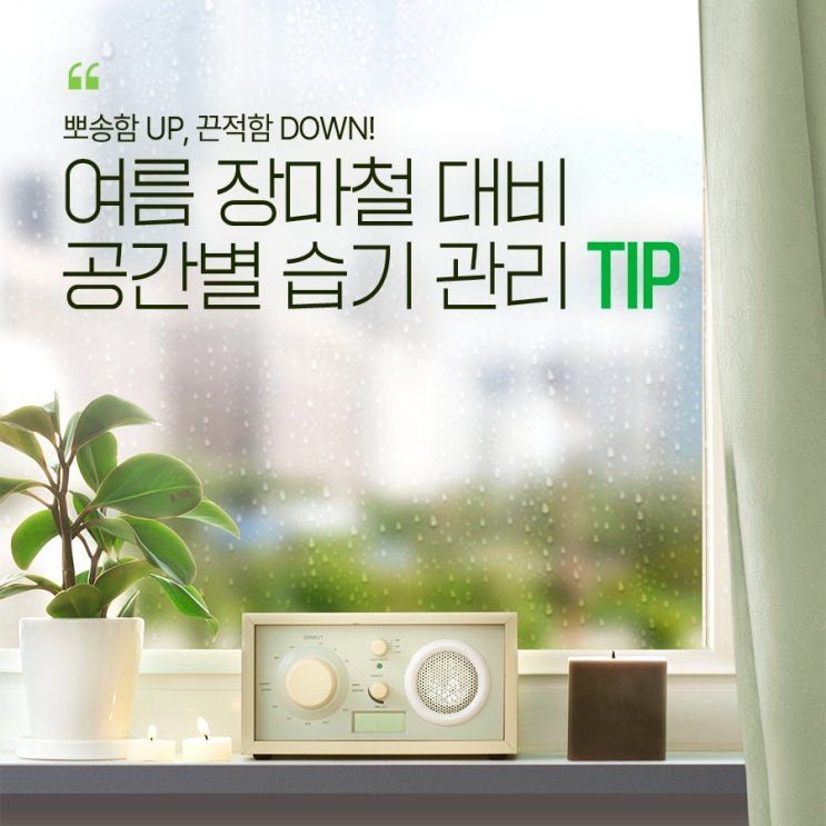 장마철 뽀송함은 올리고 끈적함은 내리는 공간별 습기 관리 Tip 네이버 블로그