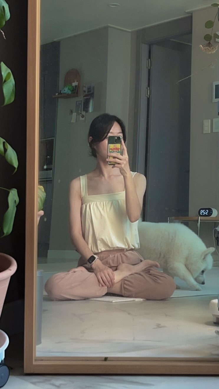 [후기] 오즈이즈 스모킹 팬츠 오렌지 브라운 OZPN2030 내돈내산 요가복 : 네이버 블로그