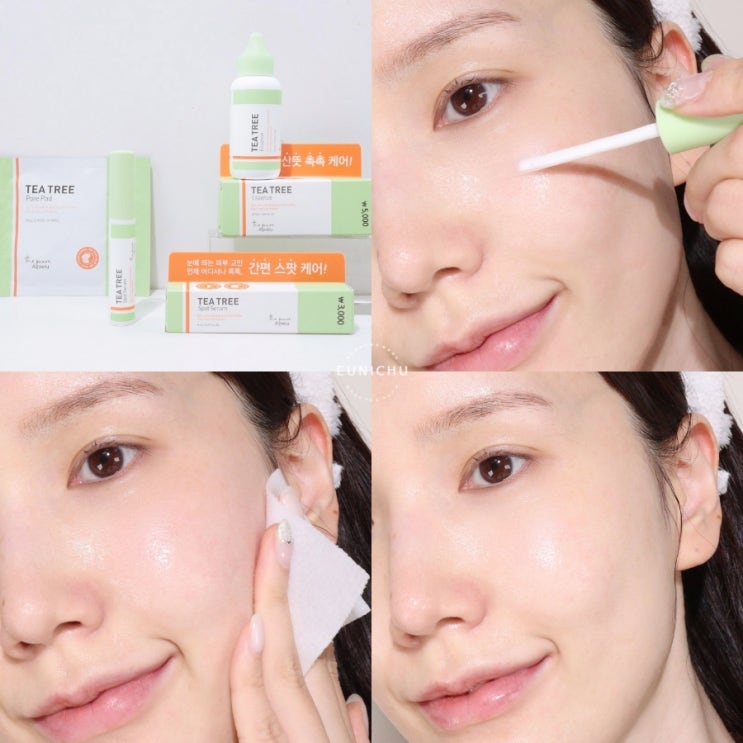 다이소화장품 어퓨 더퓨어 티트리 여드름피부관리 기초화장품 추천템 네이버 블로그