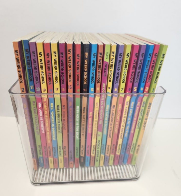 [AR 3점대] My Weird School | 손에서 놓지 못하는 재밌는 챕터북 추천 : 네이버 블로그