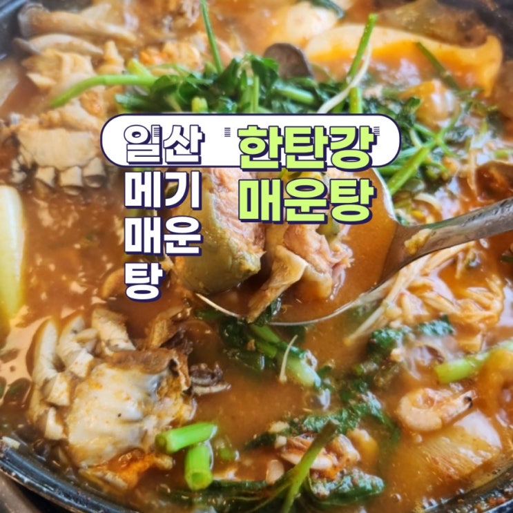 일산메기매운탕 가성비 퀄리티까지 최고 한탄강매운탕 네이버 블로그