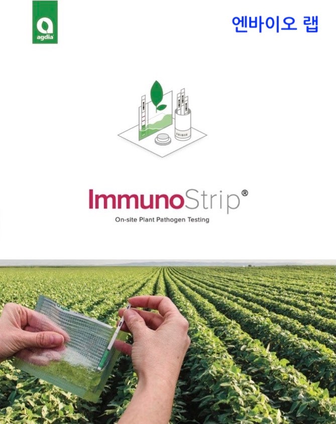 [Agdia]-ImmunoStrip / ELISA를 이용한 식물병 진단 스트립 / 농작물에서 식물병을 일으키는 바이러스 간이검사 ...