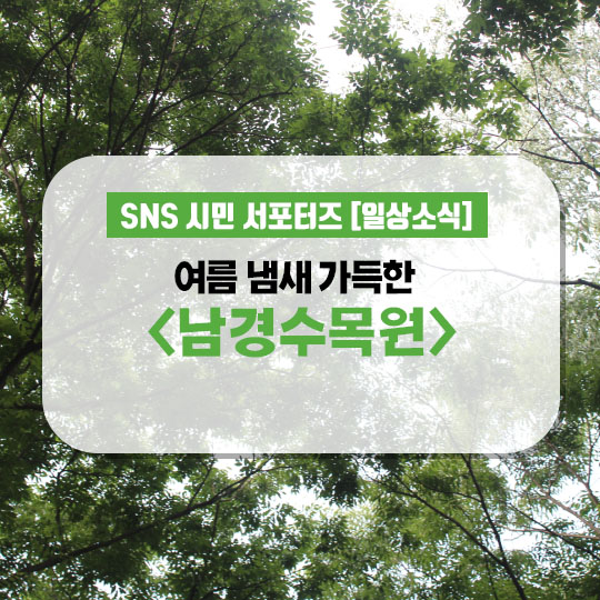 여름 냄새 가득한 으로 오세요 네이버 블로그