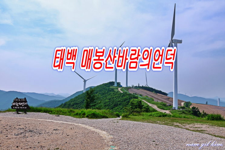 6월 여행 가는 달 강원 특별자치도 가볼 만한 곳 태백 매봉산 바람의 언덕 네이버 블로그