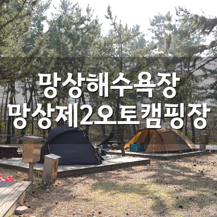 망상제2오토캠핑장 데크 및 카라반 리뷰 망상해수욕장 차박 위치 네이버 블로그