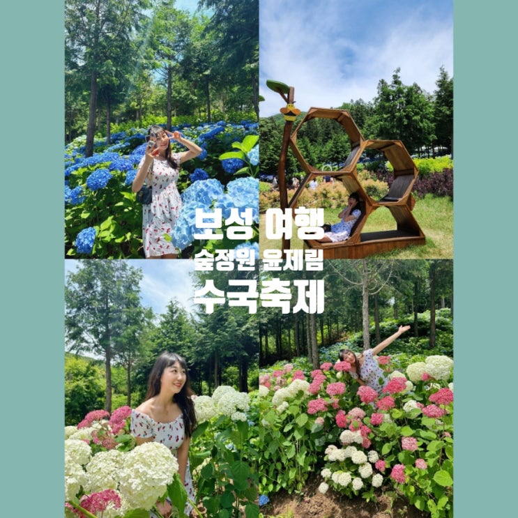 보성 여행 수국 보러 전남 수국 명소 숲정원 윤제림 성림원 축제 즐기기 네이버 블로그