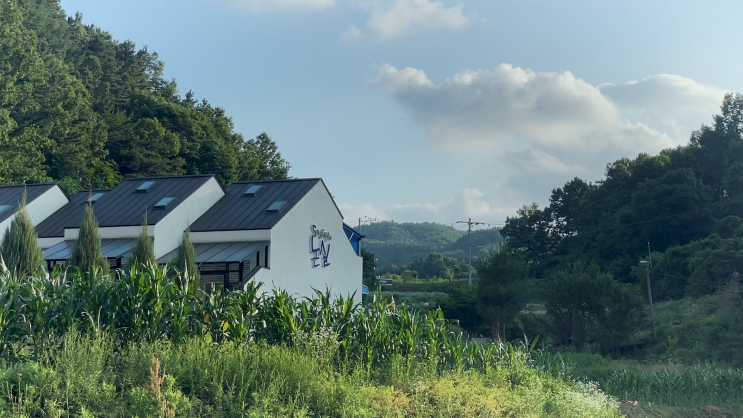 충남 금산 소확행 가심비 힐링 숙소 논실펜션 네이버 블로그