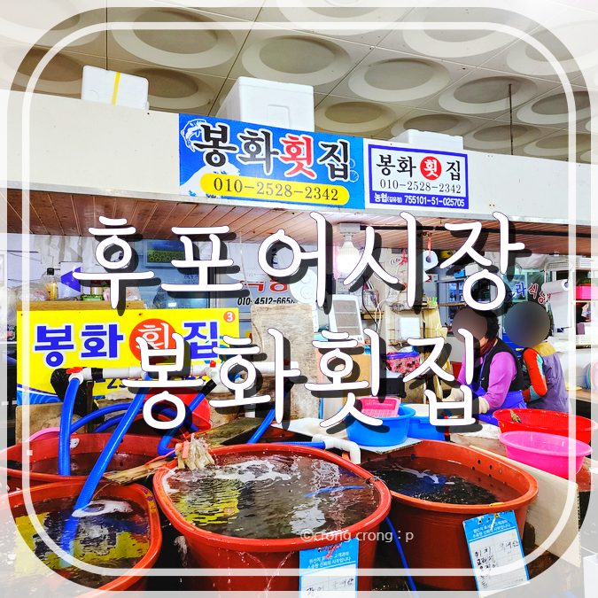 울진여행 후포어시장 봉화횟집 싸고 양많은 막썰어회 포장 네이버 블로그