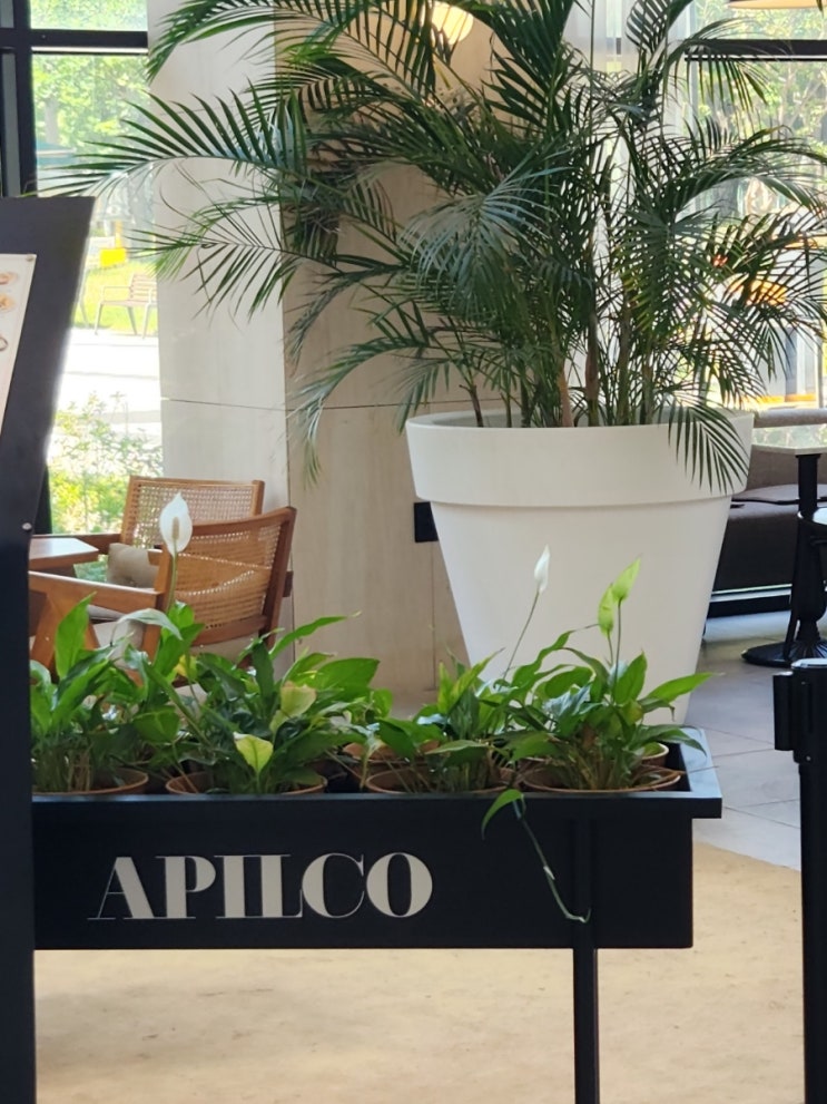 익산 아필코 Apilco 웨스턴라이프점 익산 브런치 카페 추천 웨스턴라이프 호텔 브런치 네이버 블로그