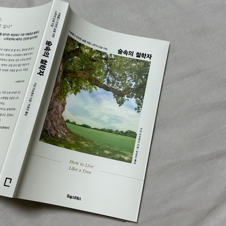 도서 : 숲속의 철학자 - 카린 마르콩브 (How to Live Like a Tree) : 네이버 블로그