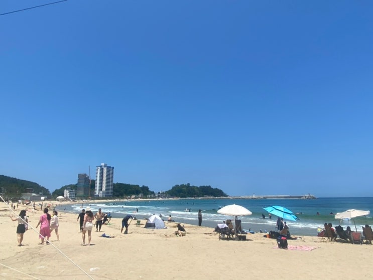강원도 양양 가볼만한곳 인구해변 죽도해변 2박 3일 여행 네이버 블로그