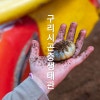 구리시 곤충 생태관 경기도 실내 어린이 가볼만한 곳 곤충체험 네이버 블로그