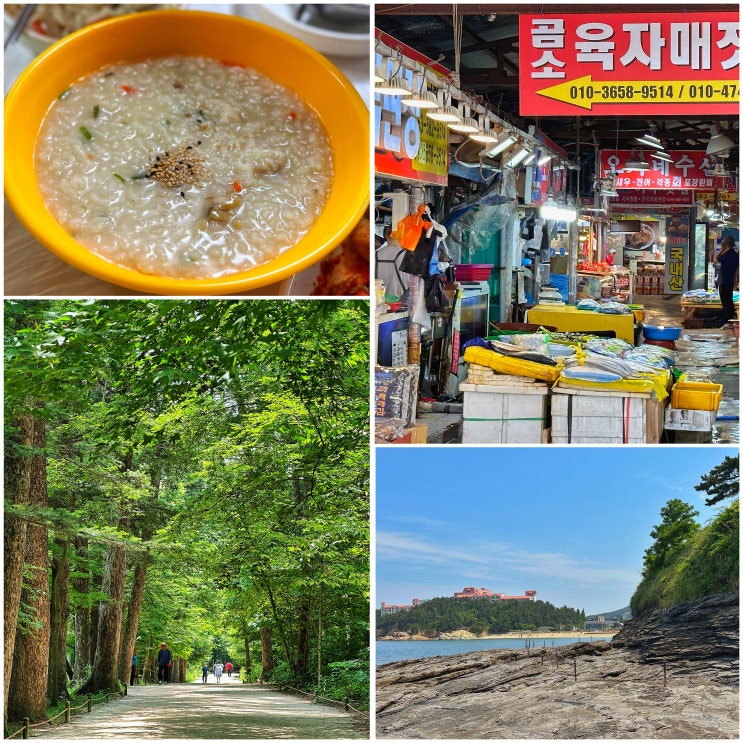 전북 부안 당일치기 여행코스 가볼만한곳 변산반도국립공원 채석강 내소사 곰소항 젓갈시장 And 백합죽 맛집 전망좋은집 네이버 블로그