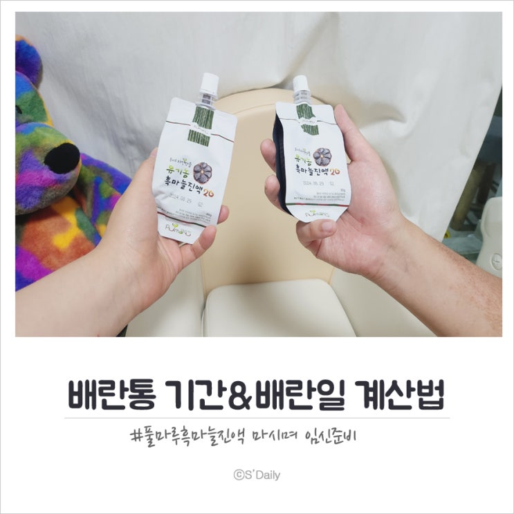 계획임신이라면 꼭 알아야 할 배란통 기간과 배란일 계산법 네이버 블로그