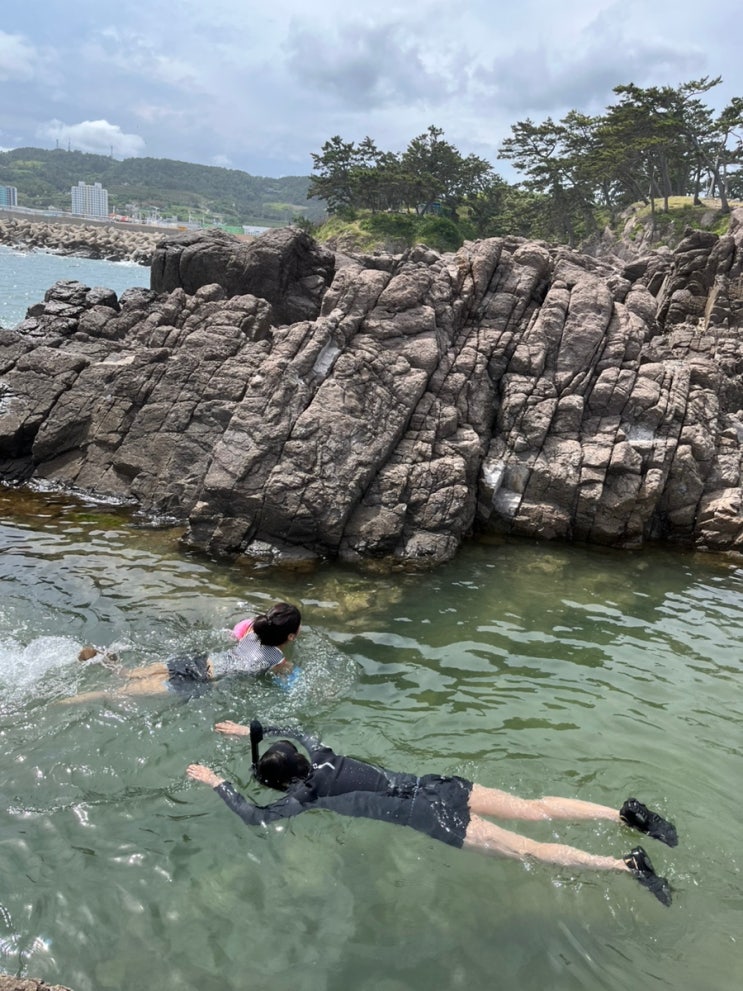 경주 감포 송대말등대 스노쿨링 : 6월의 바다수영, 주차, 화장실 X : 네이버 블로그