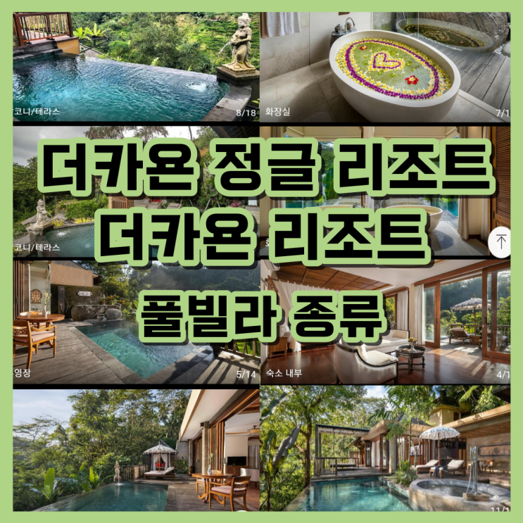 발리 더카욘 정글 리조트 Vs 더카욘 리조트 비교 풀빌라 종류 풀빌라 밸리 프리미어로열 신혼여행 준비 네이버 블로그