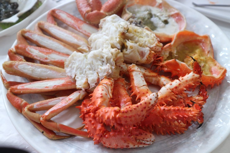 속초 대포항 대게 횟집 수산시장 회센터 맛집 갈성활어 후기 네이버 블로그