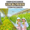 부산 근교 아이랑 가볼만한 곳 추천 김해 플라워팜팜 해바라기 수확 체험하기 네이버 블로그