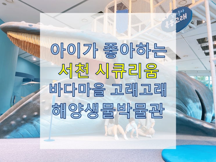서천 시큐리움 국립해양생물자원관 서천 고래고래 서천 아이와 가볼만한곳 꿀팁 실내 가볼만한곳 네이버 블로그