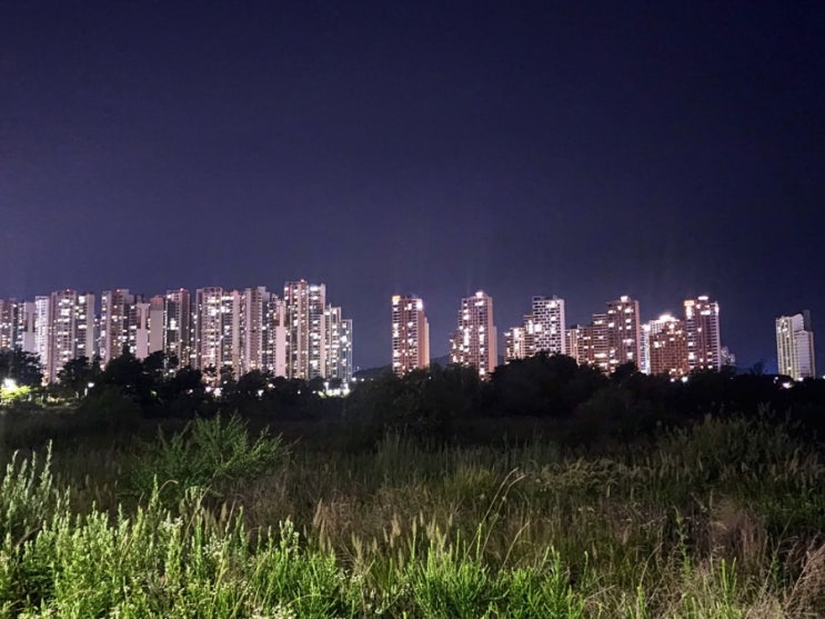 인천 송도 검단신도시 미추홀구 등 아파트 분양권 마피 실종 송도디에트르자이크리스탈오션주안파크자이검단모아미래도