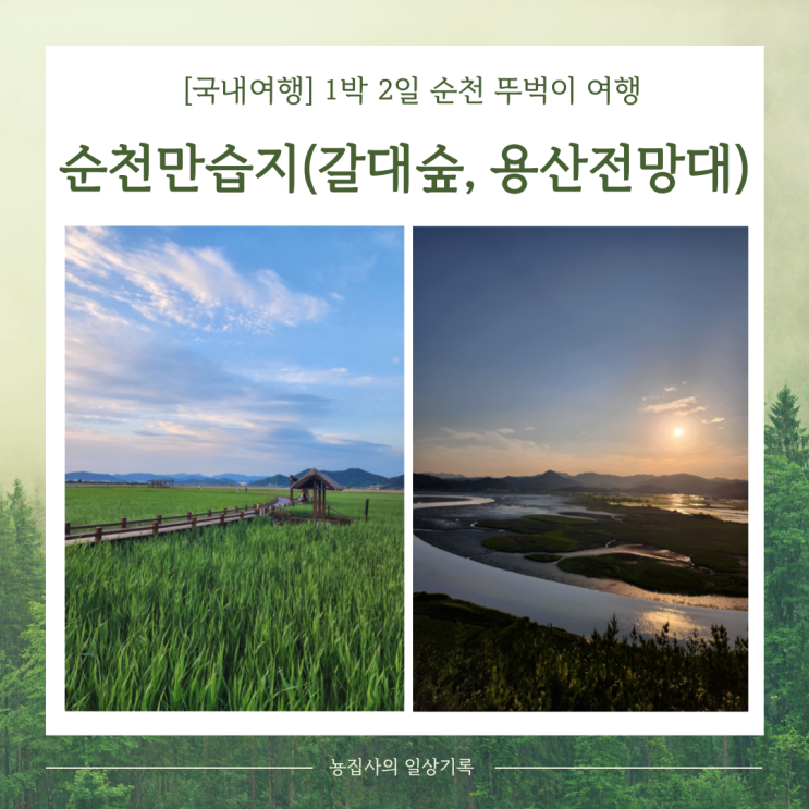 국내여행 1박 2일 순천 뚜벅이여행 순천만습지 갈대숲탐방로 용산전망대 일몰 운영시간 매표시간 네이버 블로그