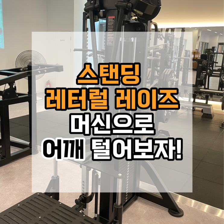 [하남헬스/미사헬스/미사pt/하남pt/메가나인피트니스] 스탠딩 레터럴 레이즈 머신으로 어깨 털어보자! : 네이버 블로그