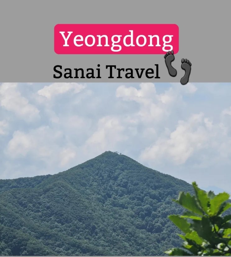 충북 영동 가볼만한곳 여름등산 백대명산 민주지산 최단코스 등산코스 물한계곡 까지 네이버 블로그