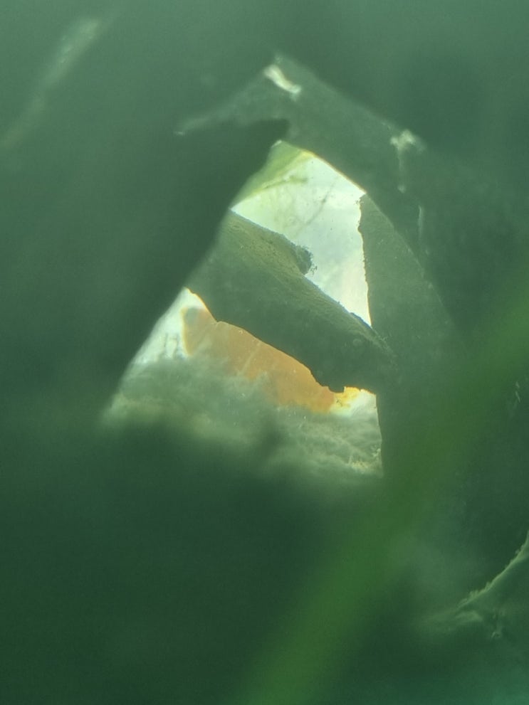 아부다비 일상 (2023.06.27) - 에르메스 몰리의 죽음 : 네이버 블로그