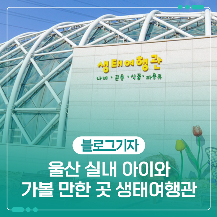 울산 실내 아이와 가볼만한 곳 생태여행관 네이버 블로그