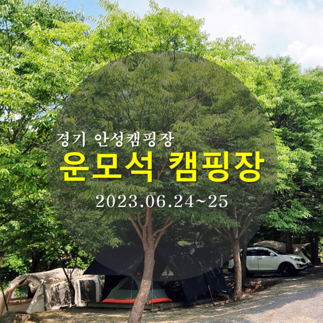 안성캠핑장 여름캠핑 시원한 나무그늘에서 보낸 힐링시간 : 네이버 블로그