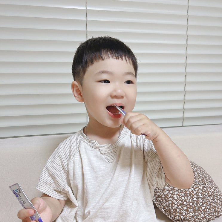 어린이 유산균 드시모네 키즈 프리미엄 맛있어요 ♥ 네이버 블로그