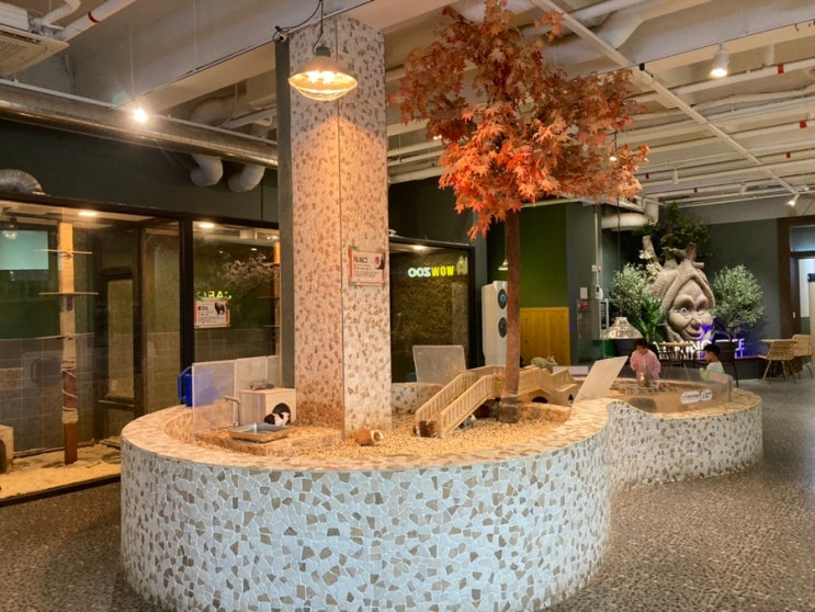 [경주/동물원] 경주 와우쥬 wowzoo 솔직 후기 : 네이버 블로그