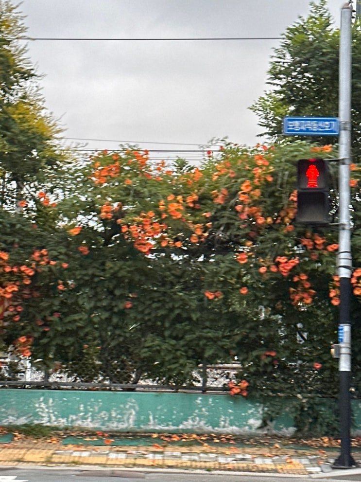 뒤죽박죽 6월일상 : 네이버 블로그