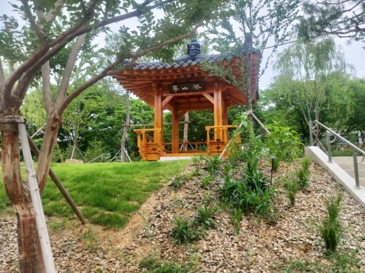 처음만나는 자연 수원 식물원 수목원 일월수목원 네이버 블로그