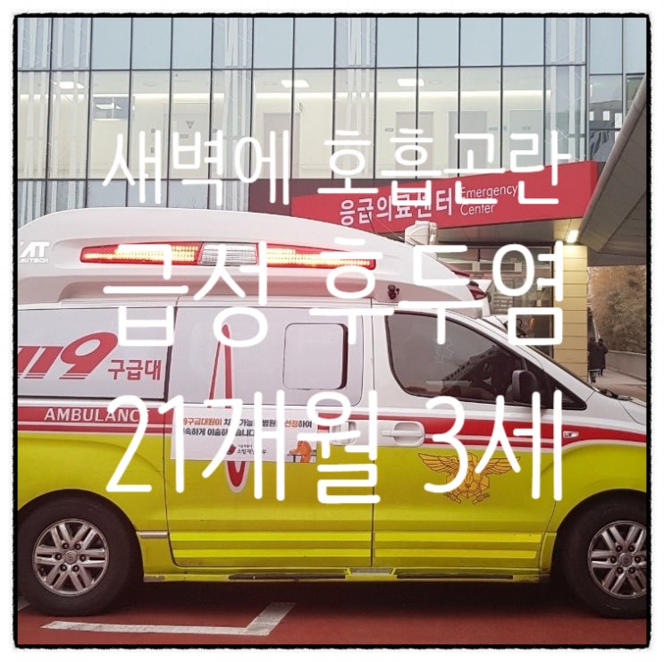 21개월 3세 아이 밤에 갑자기 숨소리가 이상하고 숨을 잘 못 쉬는 증상 크룹 급성 후두염 네이버 블로그