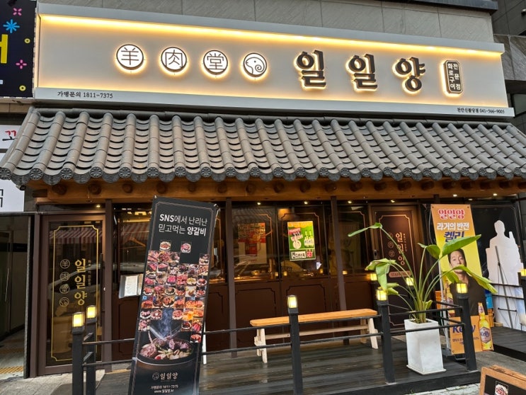 천안 불당동 양갈비맛집 일일양 양고기전문점 네이버 블로그