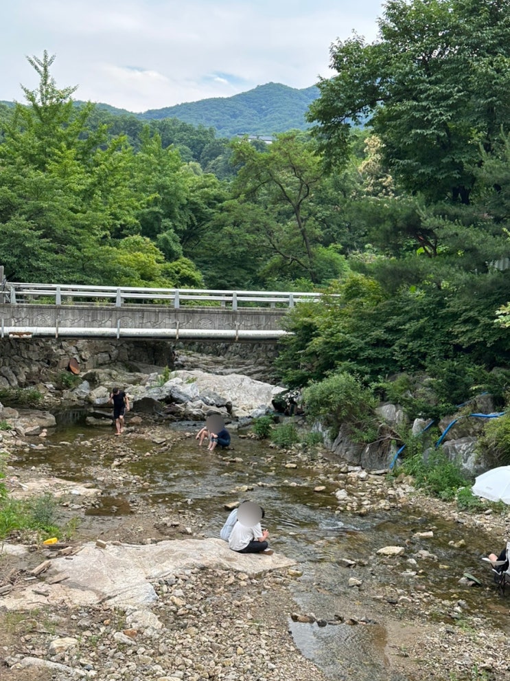 서울 근교 경기도 용인 고기리 계곡 물놀이 화장실 주차 네이버 블로그