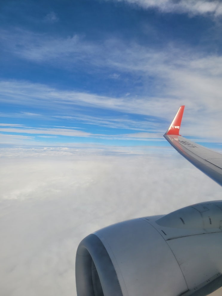 제주/ 김포공항 티웨이 위탁수하물 액체류 보안 강화 tw107 게이트 5 버스확정 제주공항에서 에그드랍성공 : 네이버 블로그
