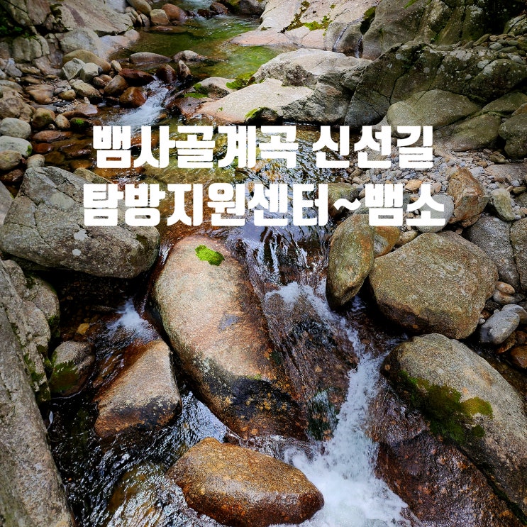 〔전북남원〕지리산 뱀사골계곡 트레킹코스 안내 뱀사골 탐방안내소~뱀사골 신선길~뱀소 왕복 약 8km 반선~남원 서울~지리산