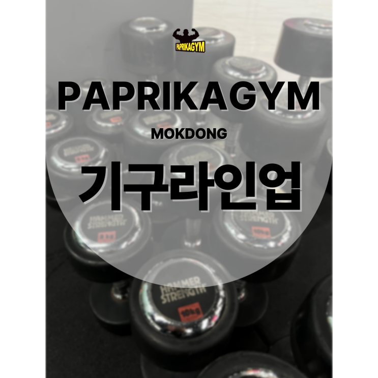파프리카짐목동점 대전헬스장 대전중구목동헬스장 다이어트 바디프로필 기구라인업 파라마운트 해머스트렝스
