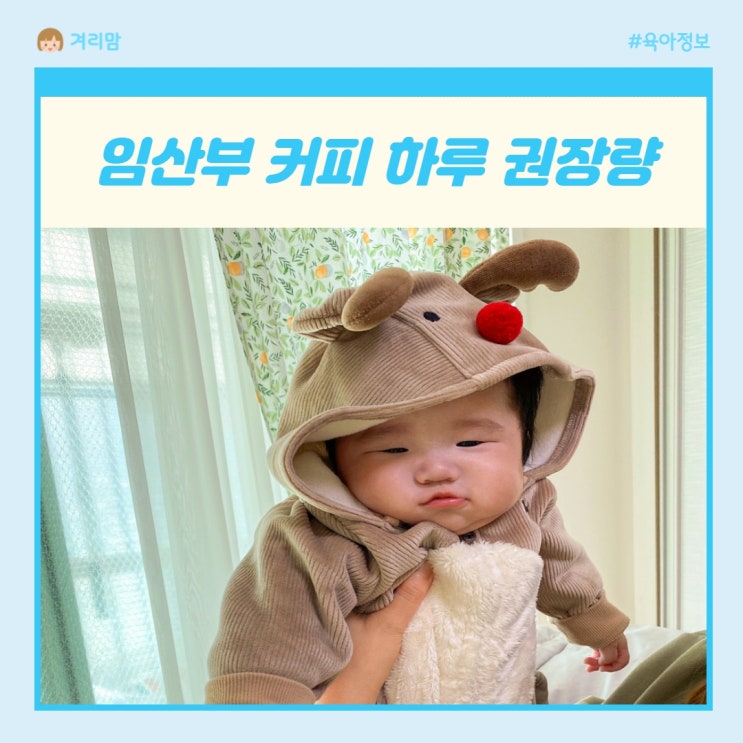 임산부 커피 우유 카페인 임신초기 하루 권장량 네이버 블로그