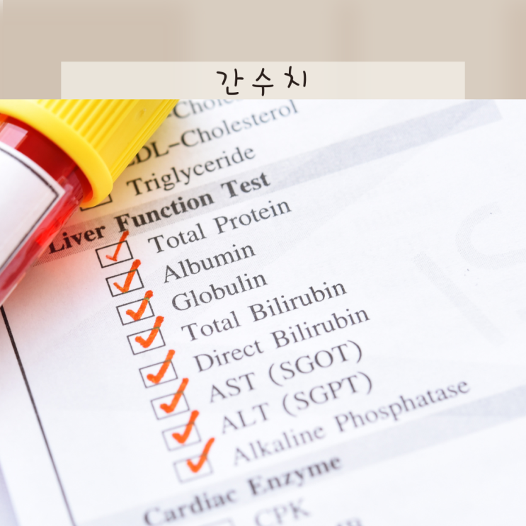 간수치가 높은이유 간수치 정상범위 낮추는 법 Ast Alt Alp Ggt 수치 높을 때 증상 중요함 점만 쏙 네이버 블로그