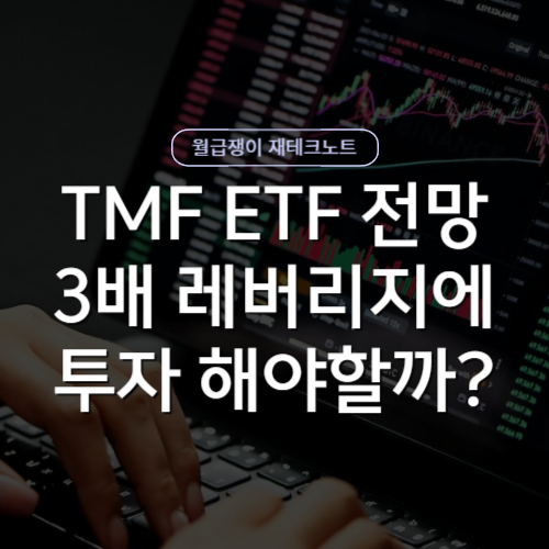 TMF ETF 주가 및 전망 : TLT 3배 레버리지 주식 총정리 : 네이버 블로그