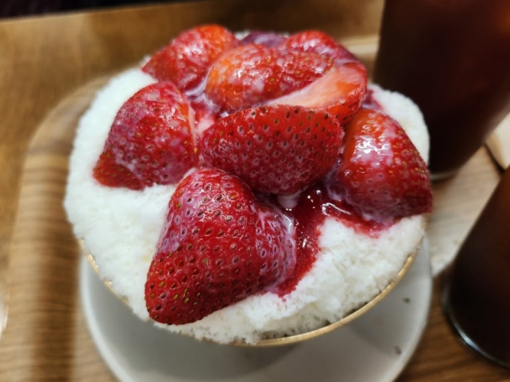 [서울/반포] 경부강남고속터미널 카페 담장옆에국화꽃 : 네이버 블로그