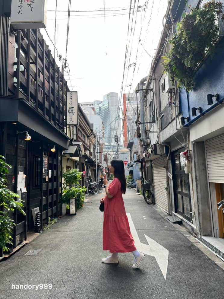 ️ 일본 태교여행 오사카 난바에서 규카츠 먹고 도톤보리까지 뚜벅이” 난바 도톤보리 일정 네이버 블로그