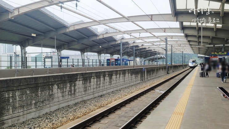 울산역에서 동대구역ktx, srt feat. 대구복합환승센터 신세계백화점 : 네이버 블로그