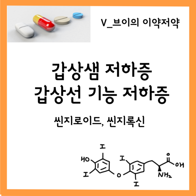 갑상선호르몬 약사가 들려주는 갑상선기능저하증갑상샘저하증 약 이해하기 네이버 블로그
