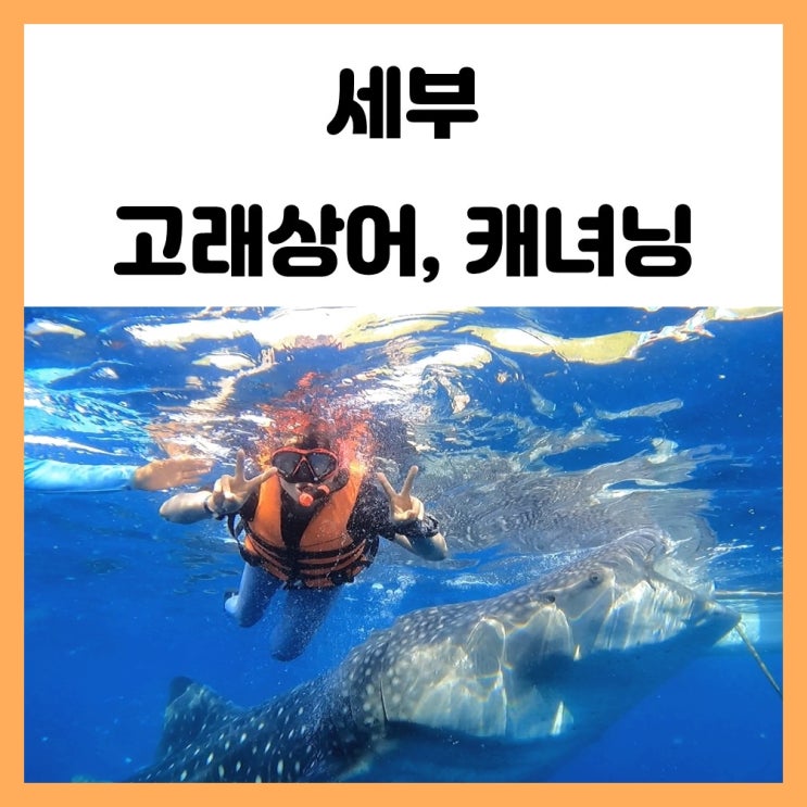 세부 호핑투어 세부로와 오슬롭 고래상어 캐녀닝 체험 후기 네이버 블로그