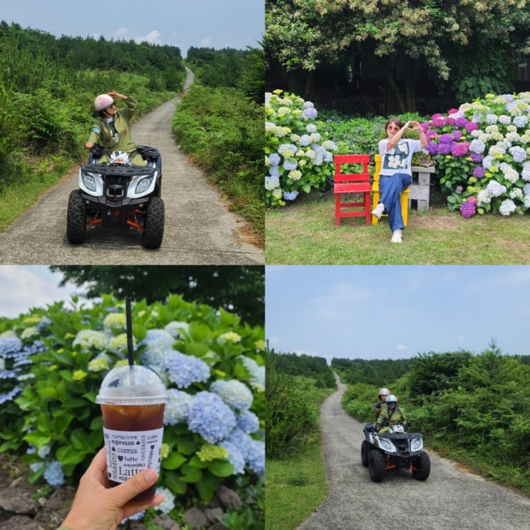 7월 제주도 여행 편백포레스트 Atv 아이와 가볼만한곳 네이버 블로그